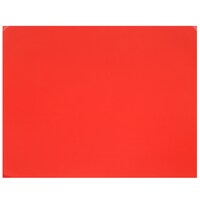 View Bright Red Posterboard, 28x22 in.