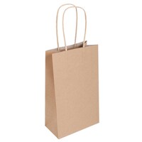 Bulk Small Natural Kraft Paper Gift Bags, 3-ct. Packs | Dollar Tree