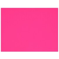 View Neon Pink Poster Boards, 22x28
