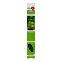 View Garden Collection Citronella Incense Sticks,