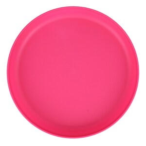 View Kids Matte Plate, 4-ct. 7.25