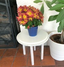 20200110_main_small.jpg&height=300&width=300