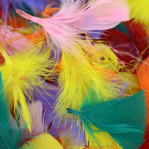 View Crafter's Square Craft Feathers, 10-g.