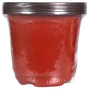 View Garden Collection Terra-Cotta Colored Plastic