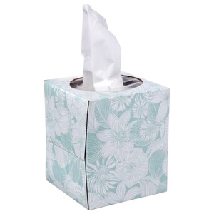 View 2-Ply Decorative Sentimental Facial Tissues,