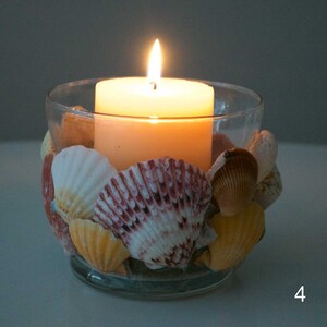 VSCProductDetailsWidget