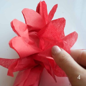 VSCProductDetailsWidget