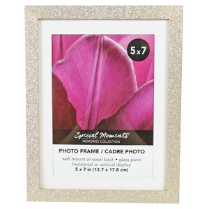 View Special Moments Gold Glitter Picture