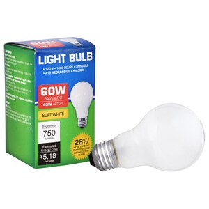 DollarTree.com | Bulk Lightbulbs & Flashlights | LED Lights, Outdoor ...