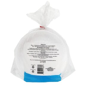 View White Foam Dinner Plates, 9