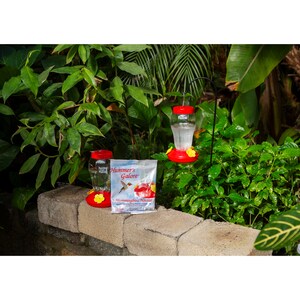 Garden Collection Plastic Hanging Hummingbird Feeders, 6.75x4 in ...