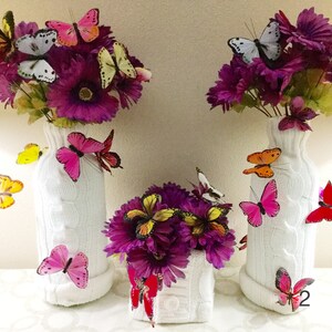 VSCProductDetailsWidget