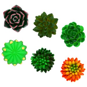 View Assorted Succulent Magnets, 2 in.