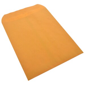 Peel & Seal Kraft Paper Envelopes, 5-ct. | Dollar Tree