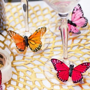 VSCProductDetailsWidget