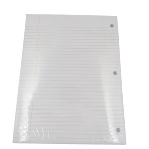 View Unison Ruled Filler Paper, 150-pc