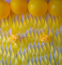 wedding-backdrop-banner-210x220.jpg&height=300&width=300