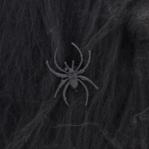 View Colorful Halloween Spider Webbing with