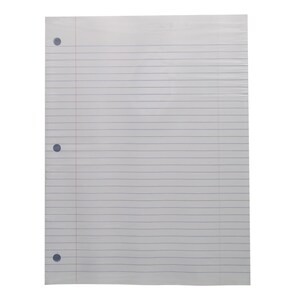 View Lined College Ruled Filler Paper,