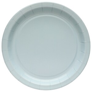 9” Paper Lunch Plates - Light Blue, 24 ct. Pack | Dollar Tree