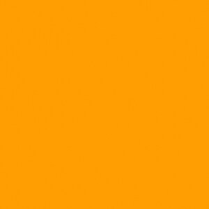 View Bright Orange Poster Board, 22x28-in.