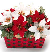 20161217-main-small.jpg&height=300&width=300