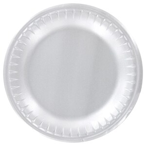 View White Foam Dinner Plates, 9