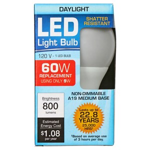View Daylight 60-Watt Equivalent Medium Base