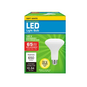 View 65W LED Flood Light Bulb,