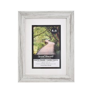 Special Moments White-Washed Frames with Borders, 4x6 in. | Dollar Tree