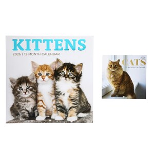 View Jot 2026 Mini Calendar With