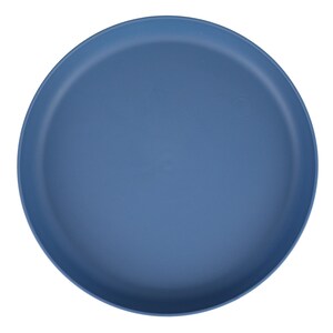 View Kids Matte Plate, 4-ct. 7.25
