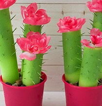 20200429-main-small.jpg&height=300&width=300