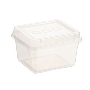 View Rectangular Translucent Plastic Storage Containers