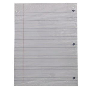 View Lined Wide Ruled Filler Paper,