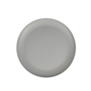 View Reusable Matte Plastic Plates, 2-ct.
