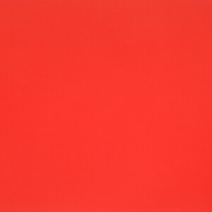 View Bright Red Posterboard, 28x22 in.