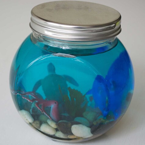 Glass Jar Ocean Terrarium