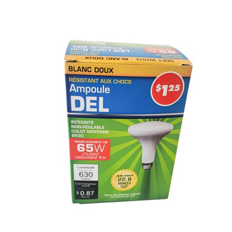 View LED Bulb Floodlight Bulb 65W,