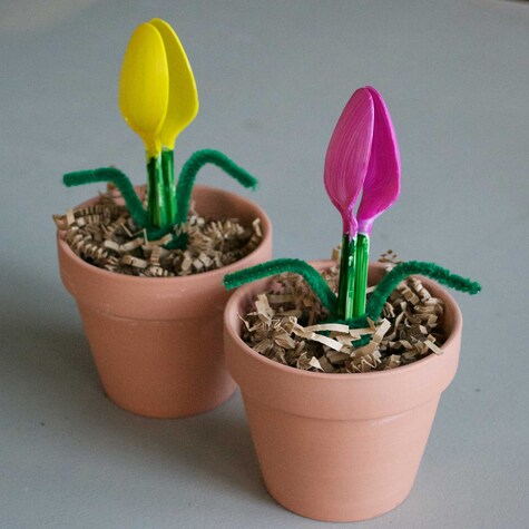 Blooming Spoon Flowers