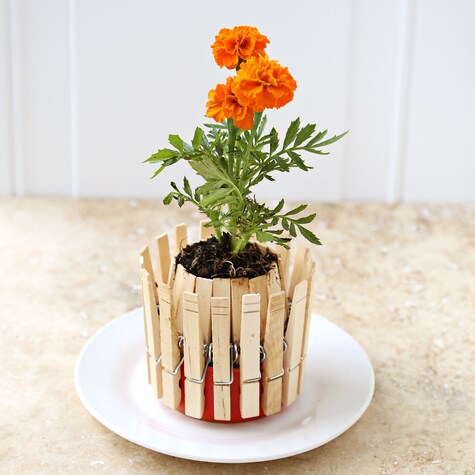 Clothespin Planter | Dollar Tree