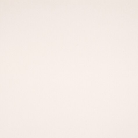 View White Poster Board, 22x28 in.