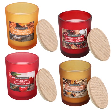 View Luminessence Assorted Harvest-Themed Frosted Jar