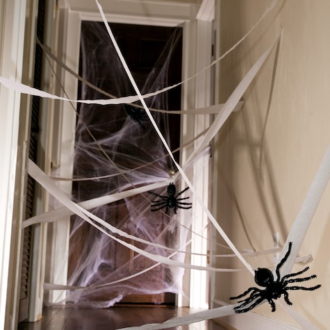 Spider Invasion | Dollar Tree