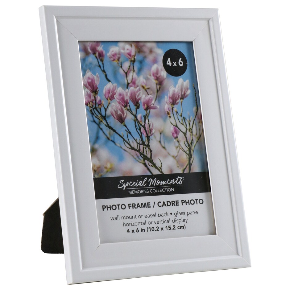 4x6 Picture Frames: Acrylic, Wood & Matted | DollarTree.com