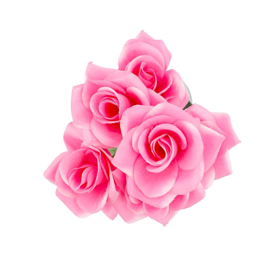Valentine's Day Floral: Stem Rose Bushes & More | DollarTree.com