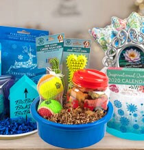 Holiday Gifts | DollarTree.com