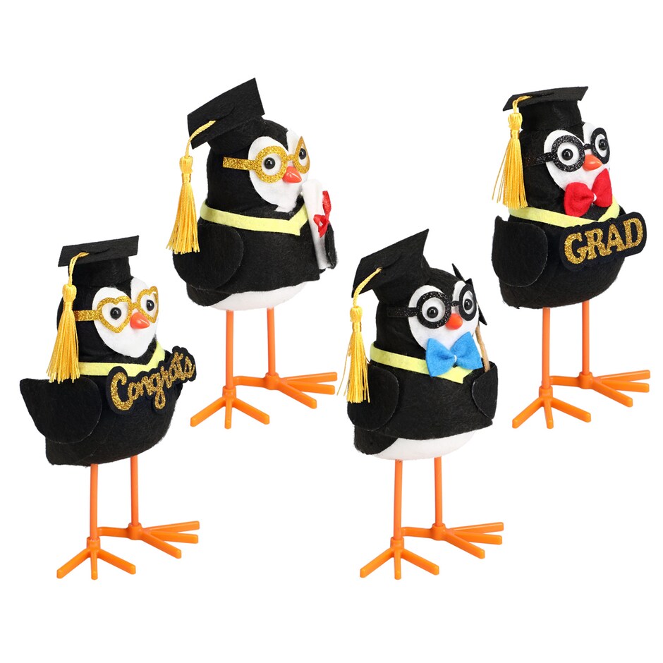 Graduation Party Supplies, Favors & Grad Party Gifts | DollarTree.com