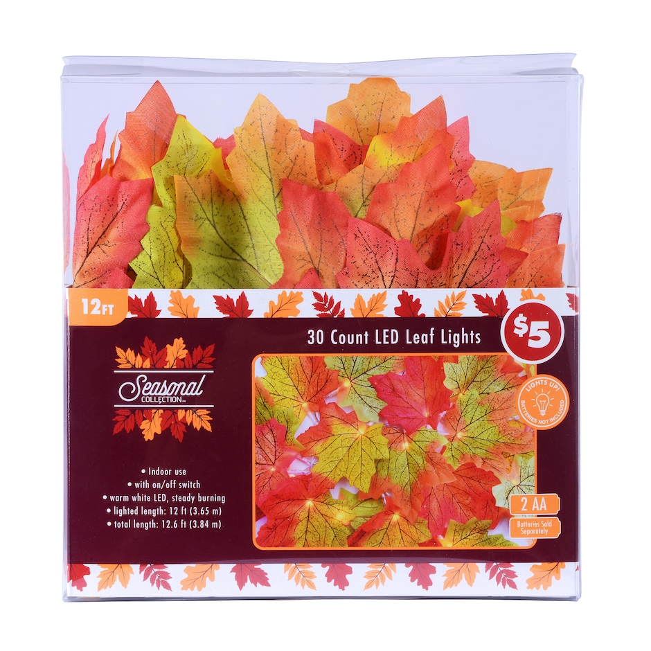 Fall & Harvest DT Plus | DollarTree.com