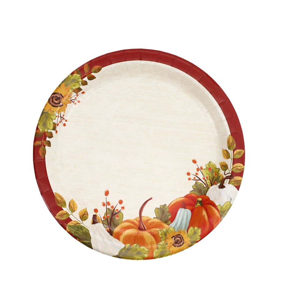 Dinner Plates: Melamine, Printed & Ceramic | DollarTree.com